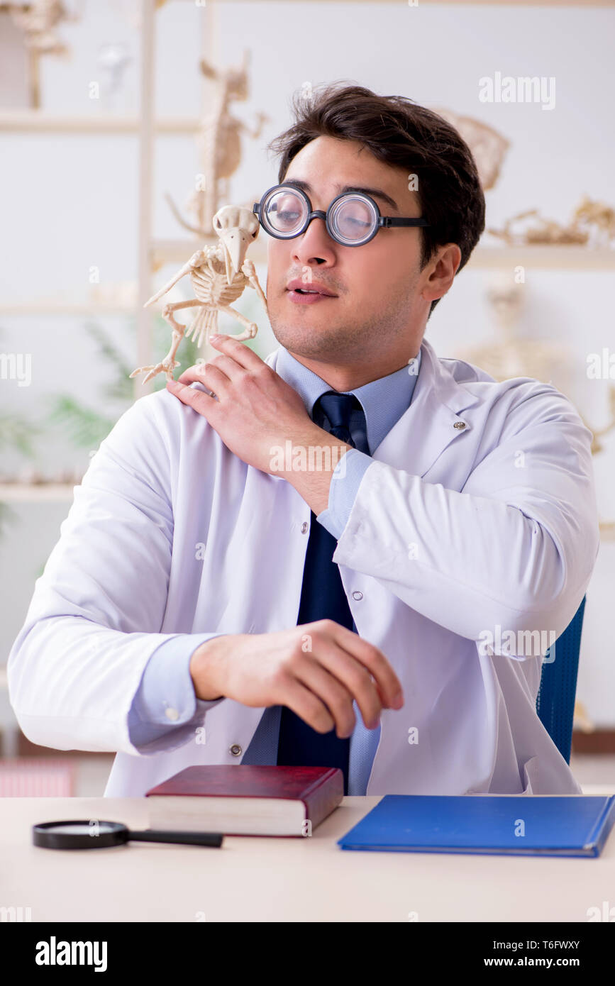 Funny crazy professor studying animal skeletons Stock Photo - Alamy