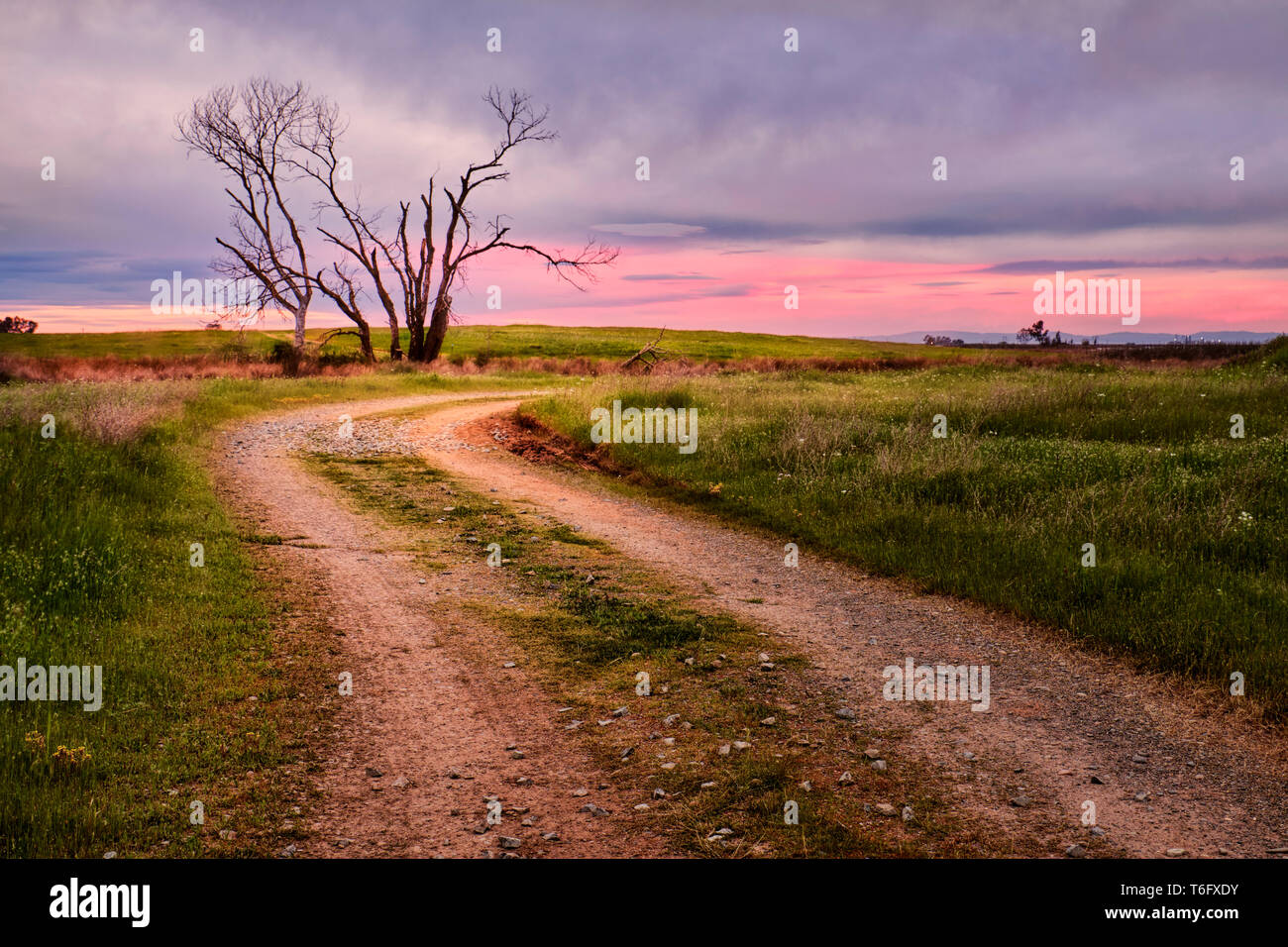 Landscape of a dirt road with ruts going through a green field with a ...