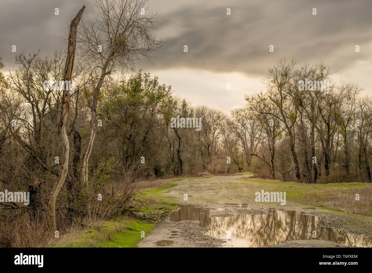 Location rural area in hi-res stock photography and images - Alamy