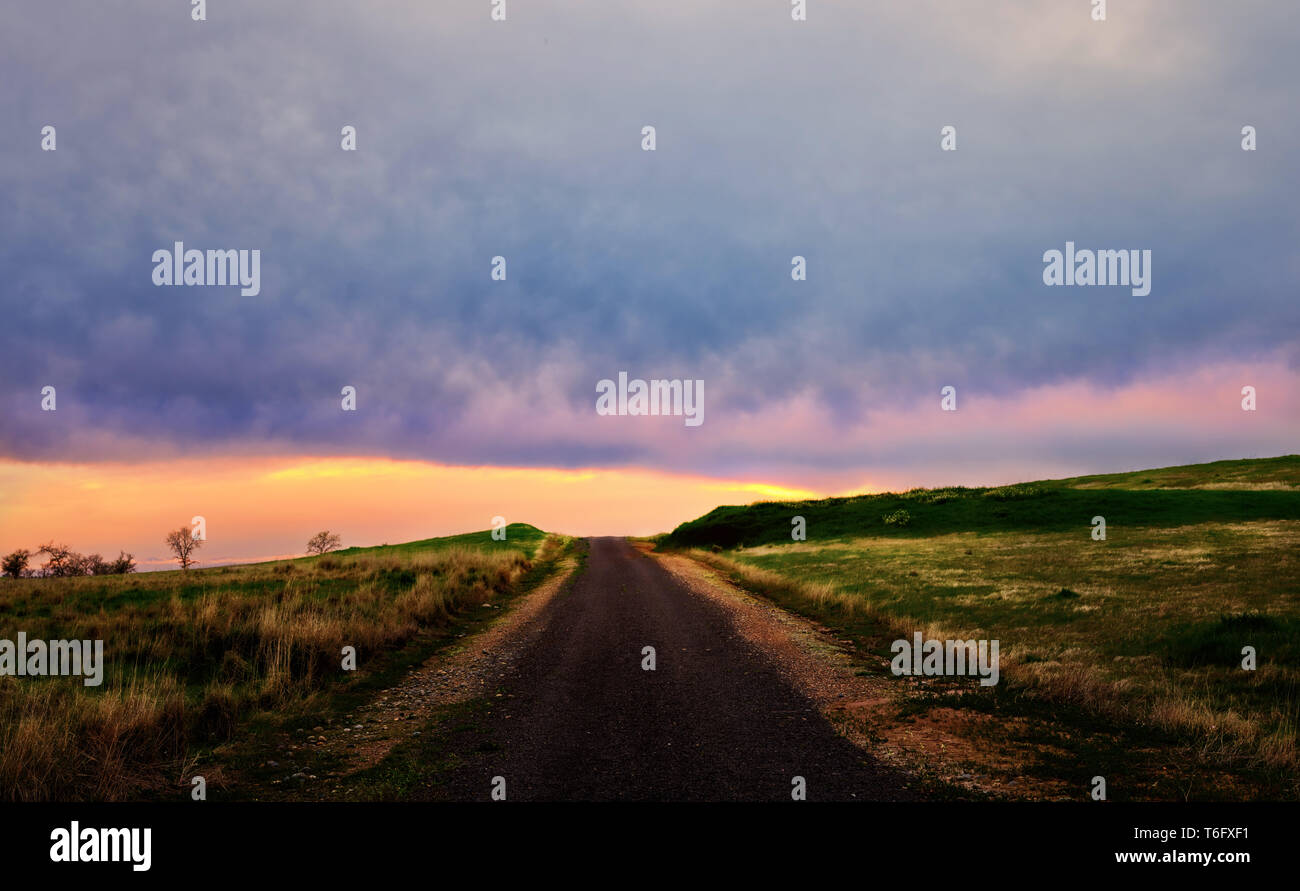 Gravel path going in hi-res stock photography and images - Alamy