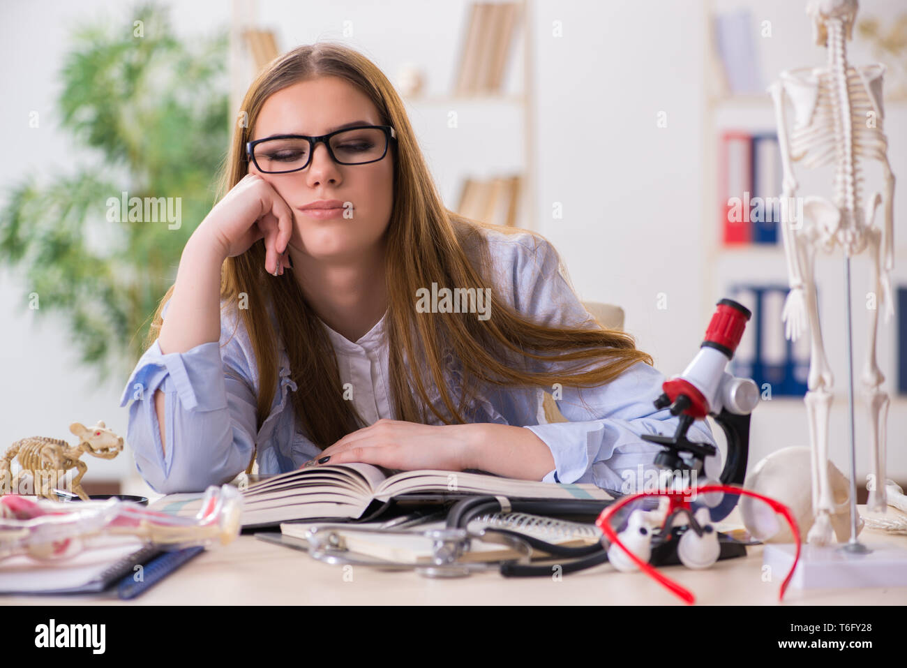 Student examining animal skeleton in classroom Stock Photo - Alamy