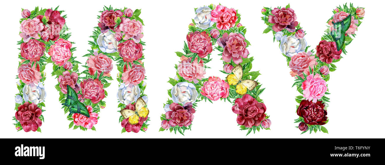 Word MAY of watercolor flowers, isolated hand drawn on a white ...