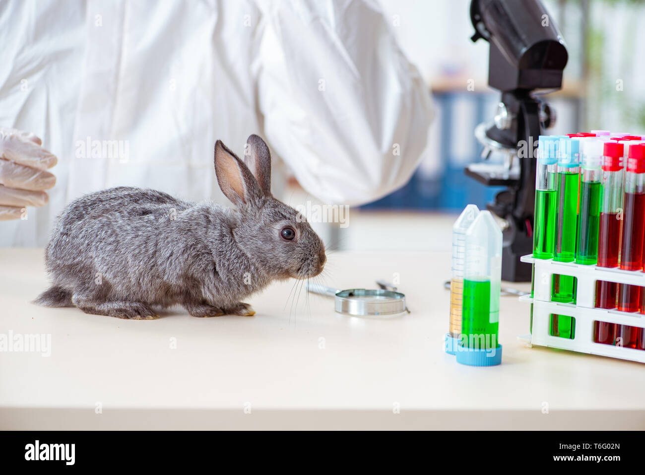 Medical doctor patient experimenting hi-res stock photography and ...