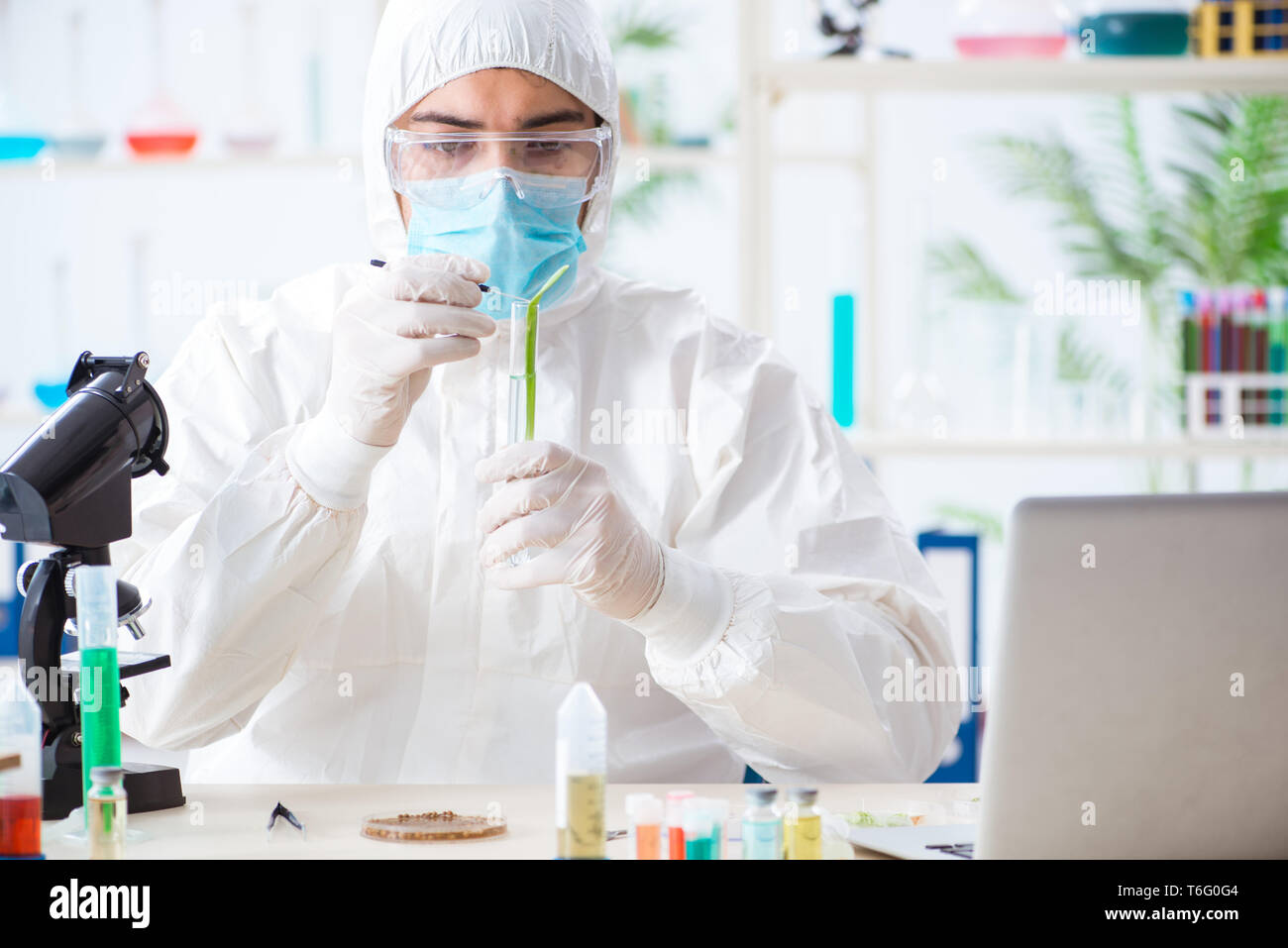 Male biochemist working in the lab on plants Stock Photo - Alamy