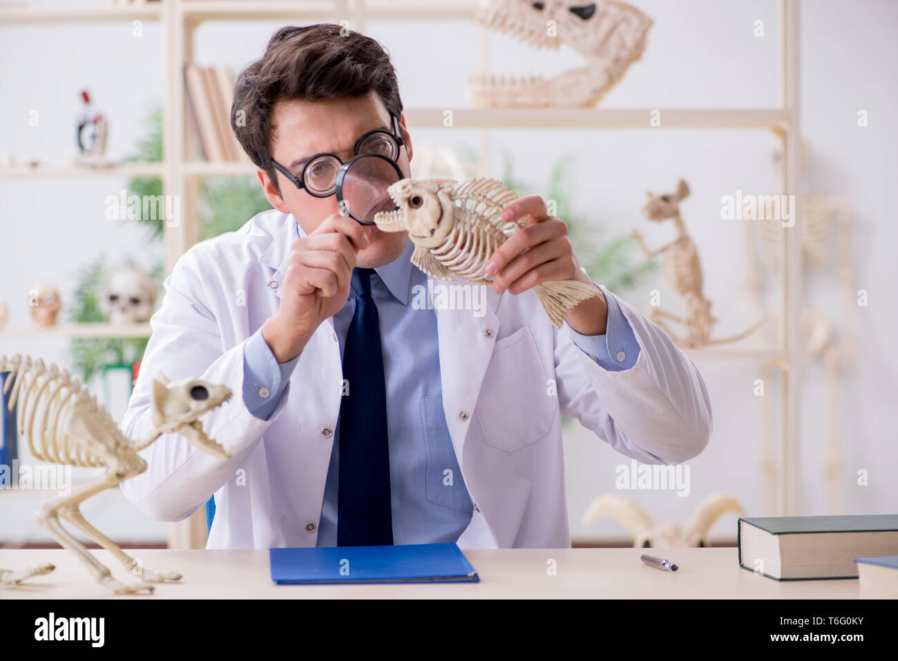 Skeletons lab hi-res stock photography and images - Alamy