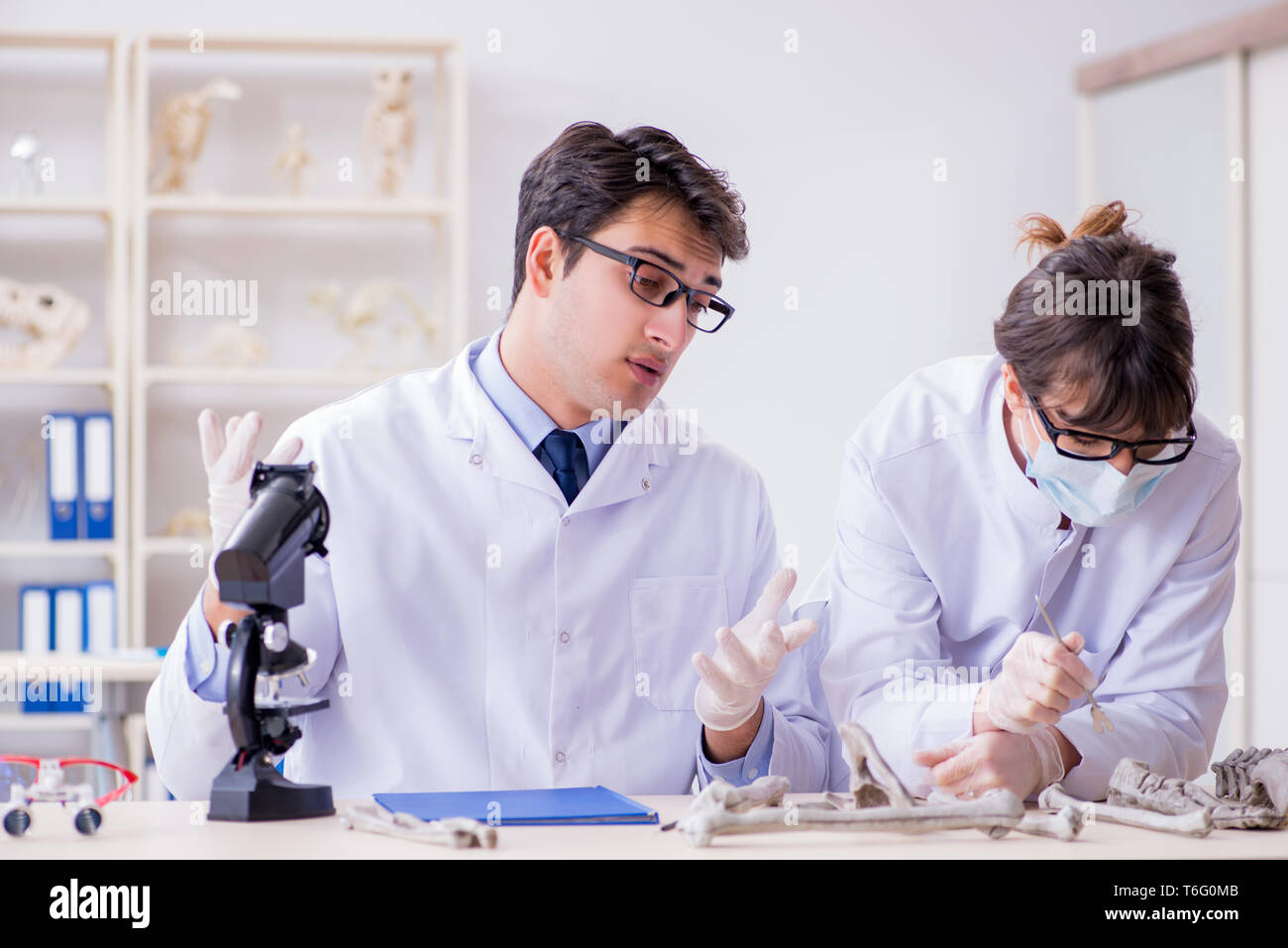 Professor studying human skeleton in lab Stock Photo - Alamy