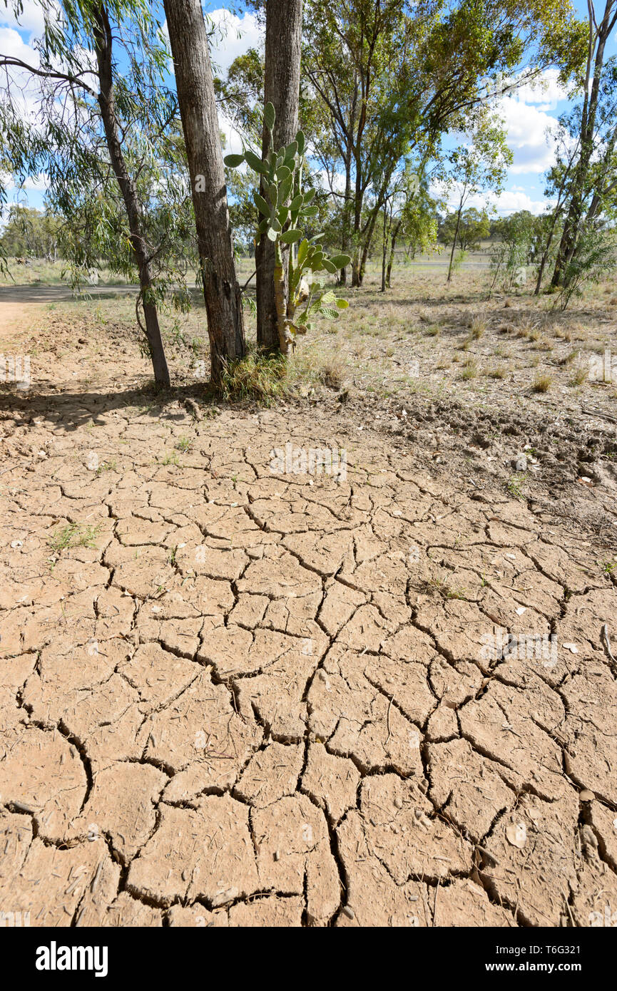 Cracked soil during a drought near Injune, South West Queensland, QLD ...