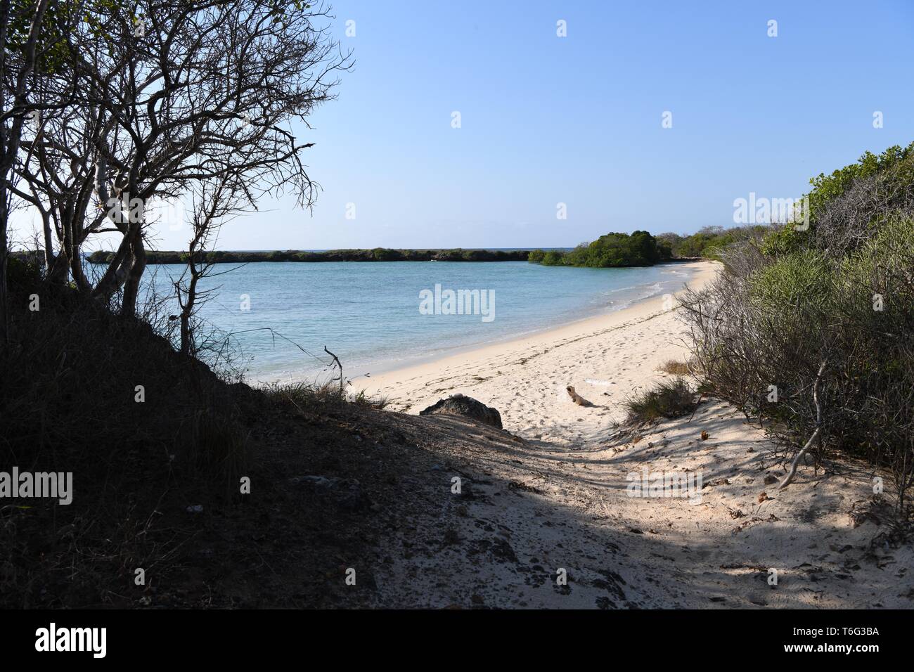 Turtle beach, Azura Quilalea Private Island, Quirimbas Archipelago ...