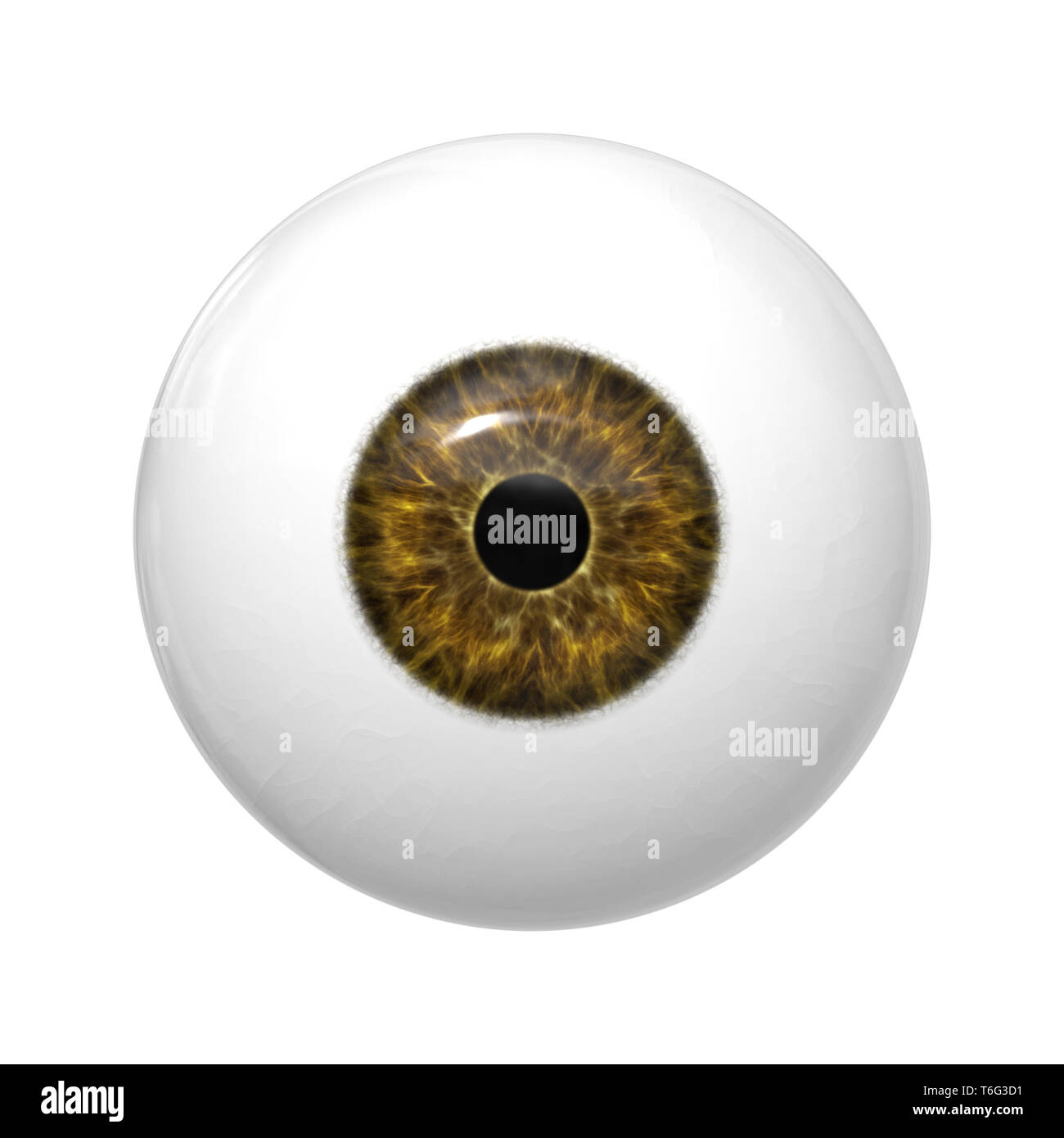 brown eye texture Stock Photo - Alamy