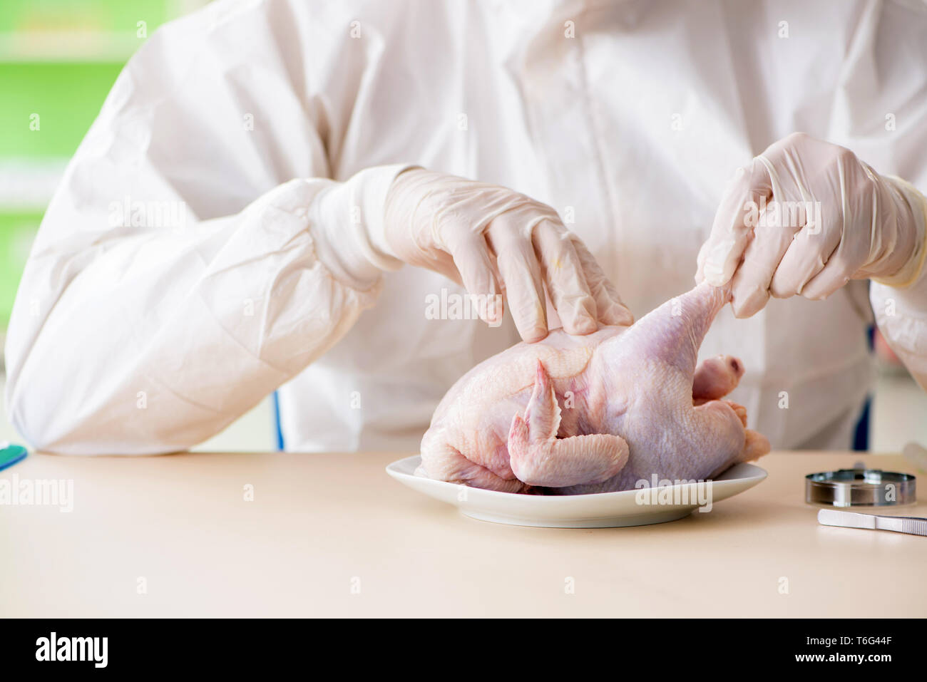 Lab assistant testing GMO chicken Stock Photo - Alamy