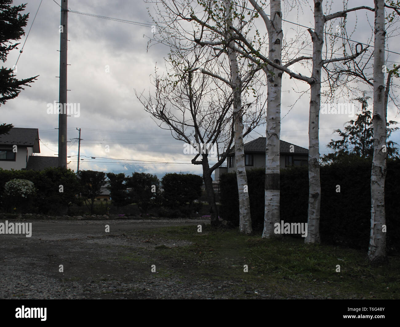 Saku hi-res stock photography and images - Alamy