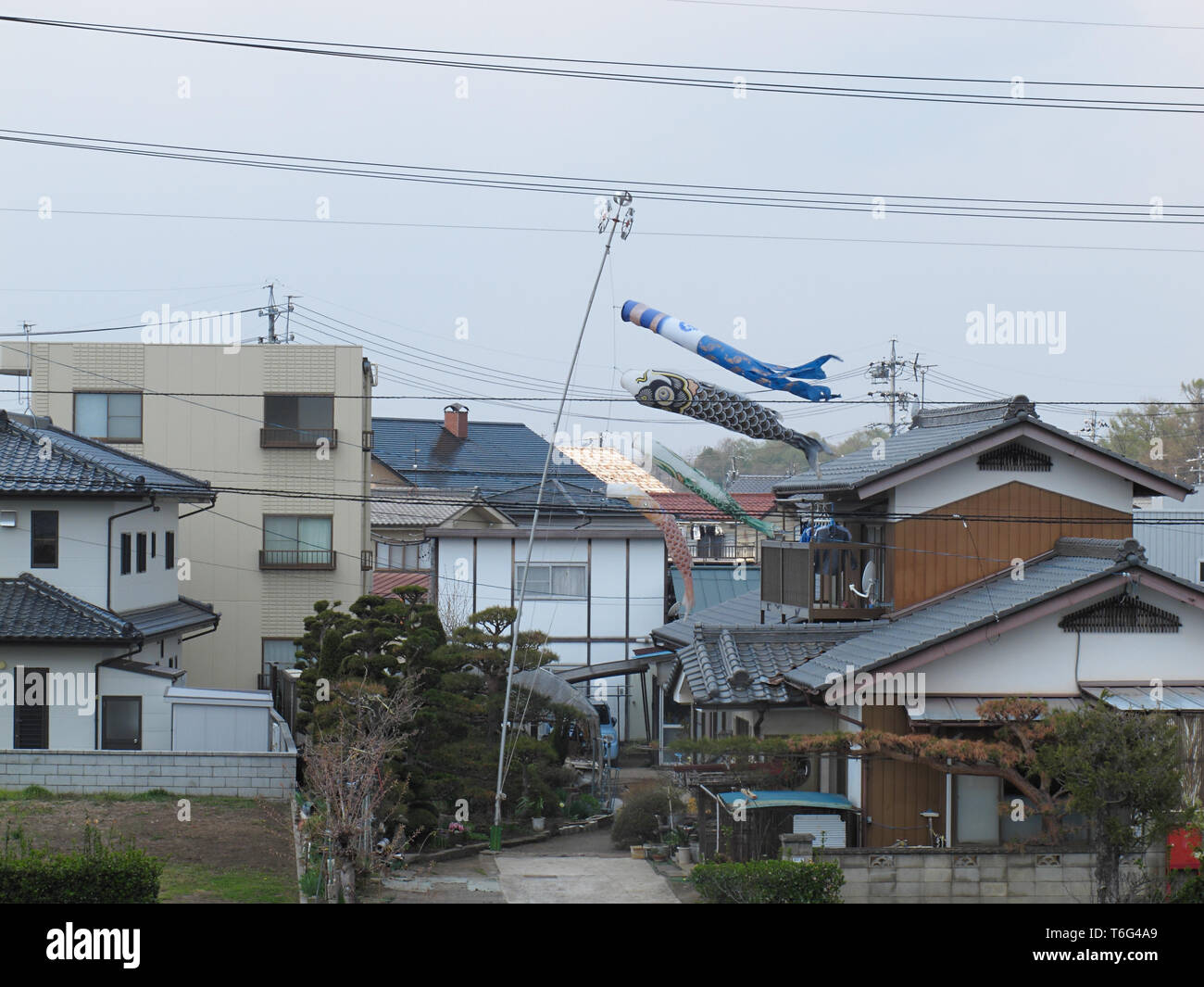 Carp Streamers (Koinobori) flying in front of an old Japanese house at ...