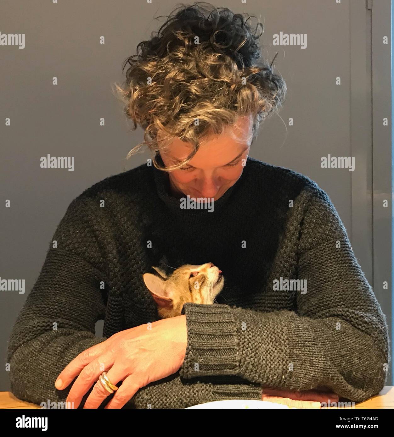 Cat trust hi-res stock photography and images - Alamy