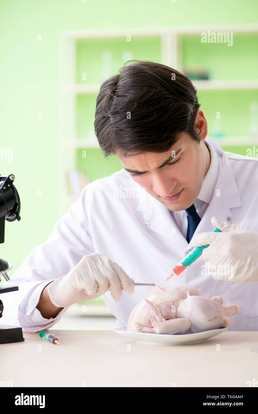 Lab assistant testing GMO chicken Stock Photo - Alamy