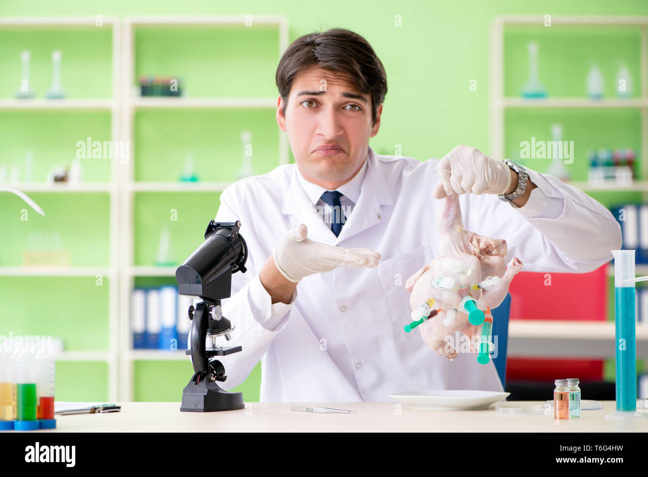 Lab assistant testing GMO chicken Stock Photo - Alamy