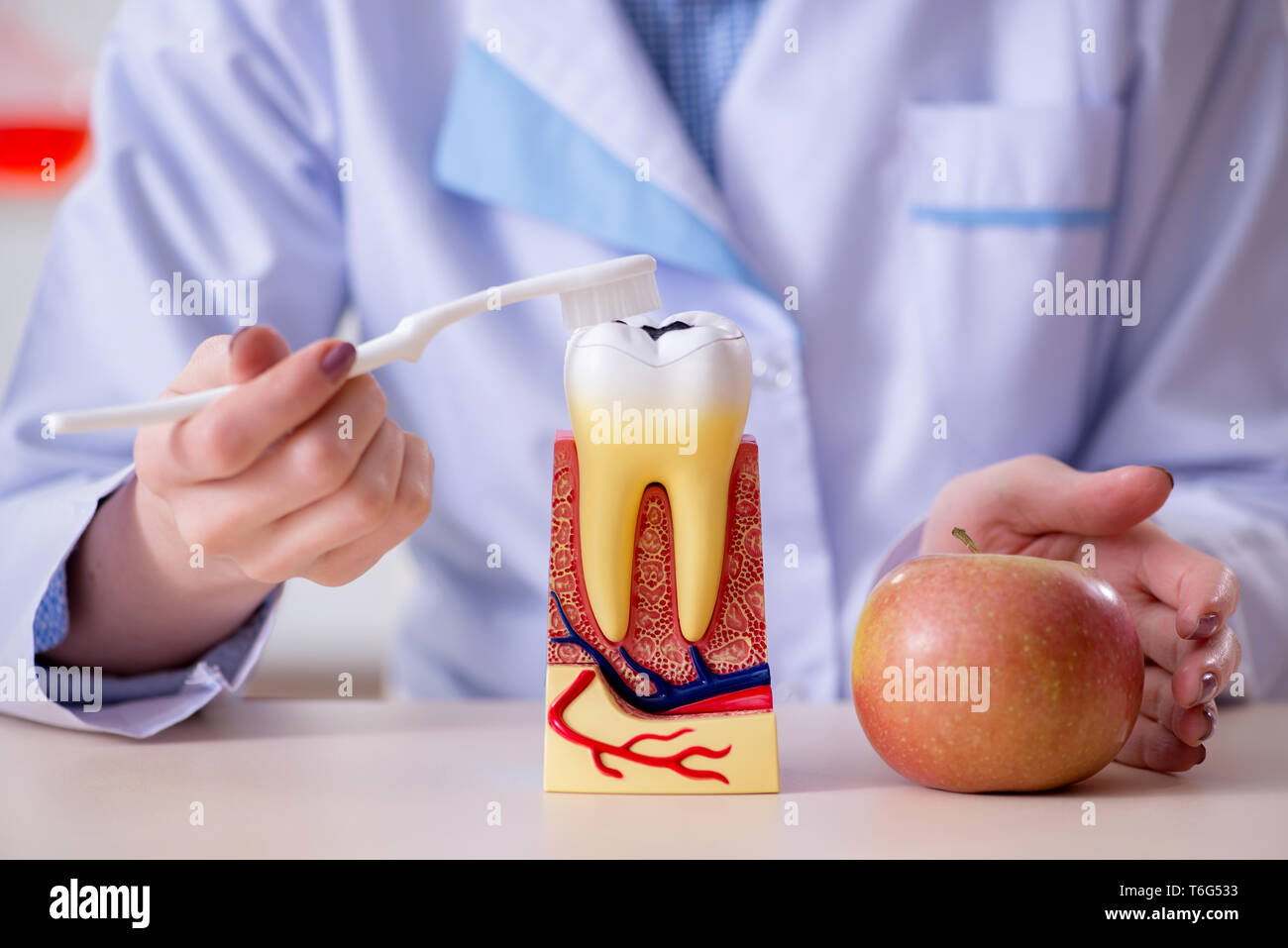 Woman dentist practicing work on tooth model Stock Photo - Alamy