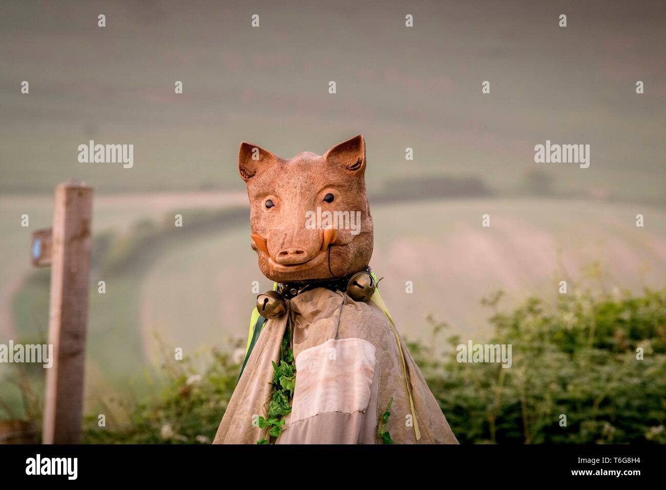 Longman morris hi-res stock photography and images - Alamy