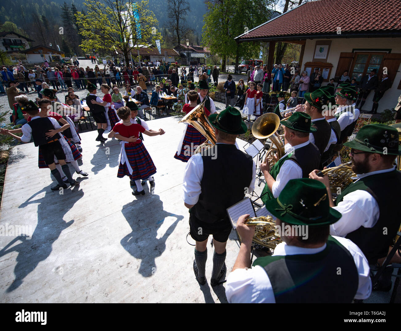 Trees planted boys hi-res stock photography and images - Alamy