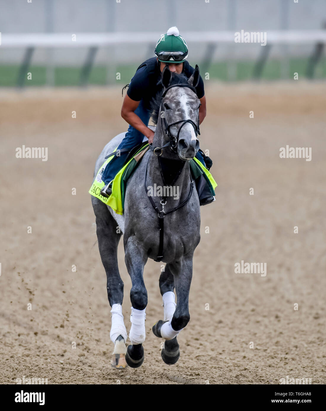 Charles mott hi-res stock photography and images - Alamy