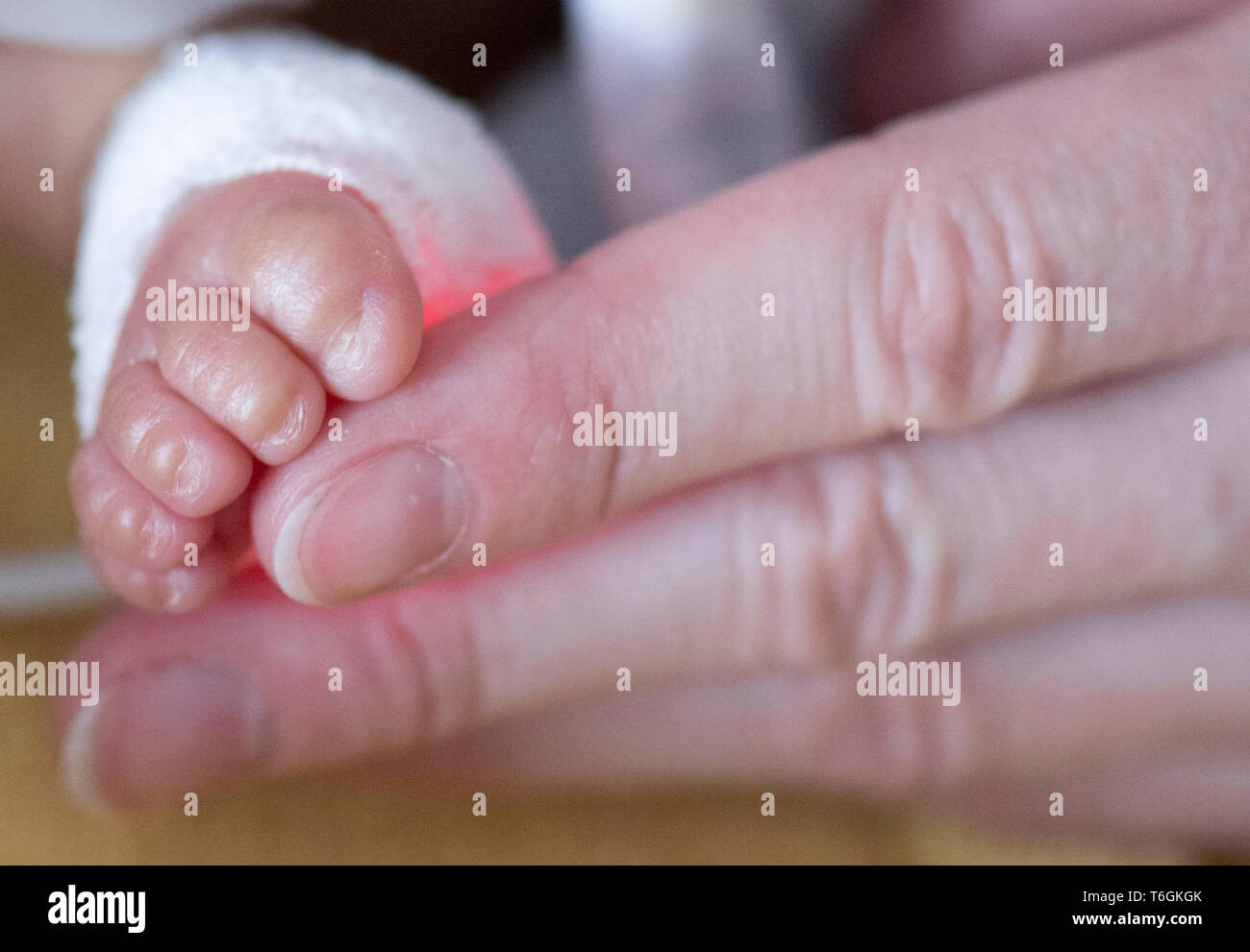 Oxygen saturation probe hi-res stock photography and images - Alamy
