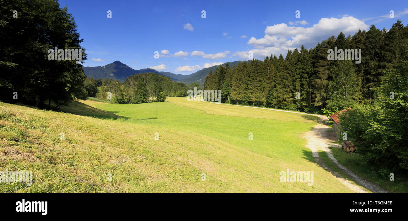 green field in bavaria Stock Photo - Alamy