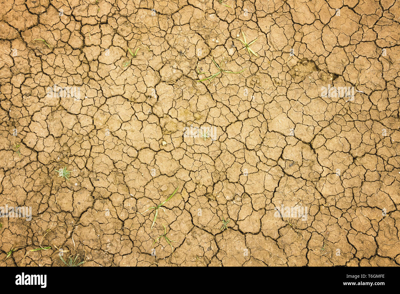 cracked dry sandy earth Stock Photo - Alamy