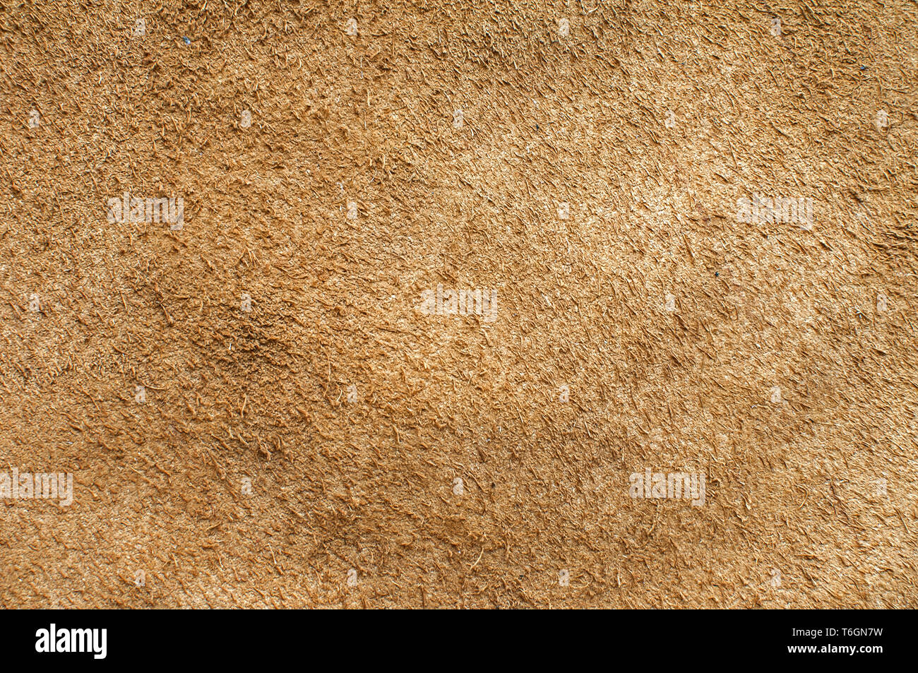 Backside of natural brown leather surface texture closeup as background ...