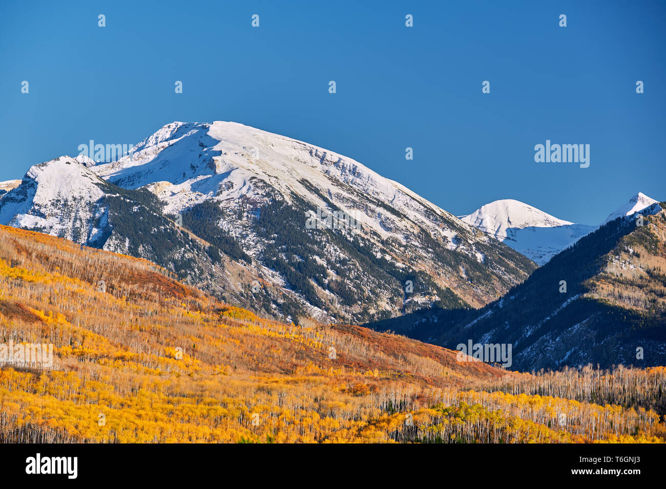 Kebler pass aspen grove hi-res stock photography and images - Alamy