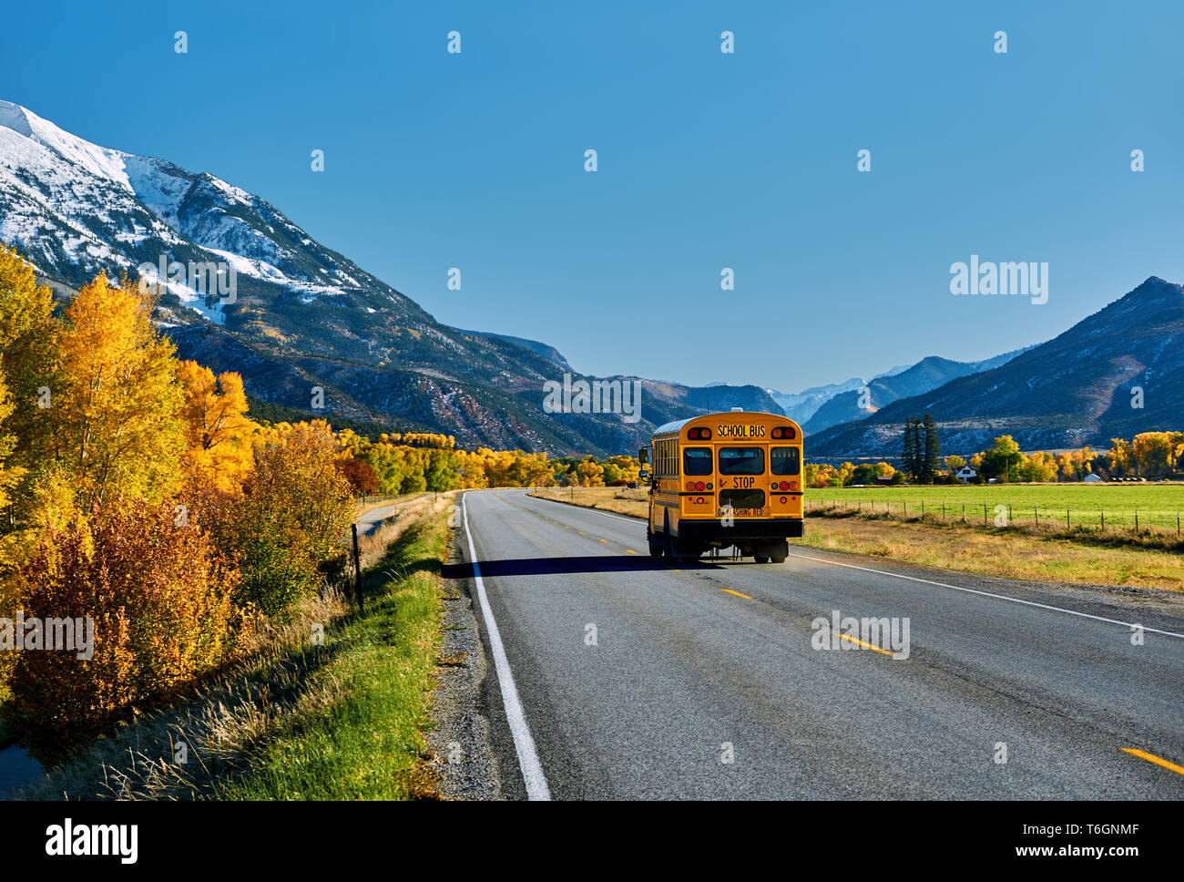 School bus on highway hi-res stock photography and images - Alamy