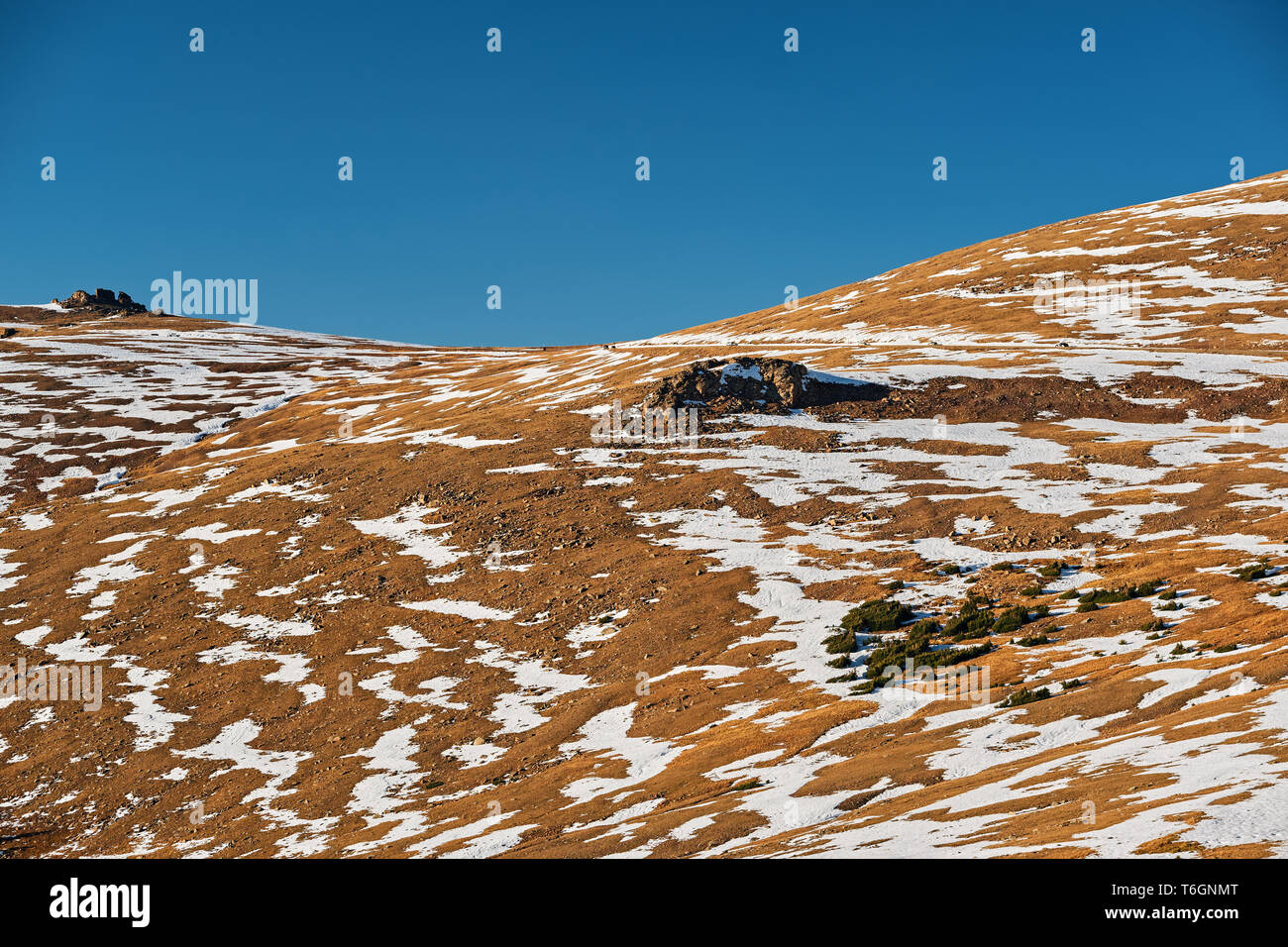 High alpine tundra landscape with mountains Stock Photo - Alamy