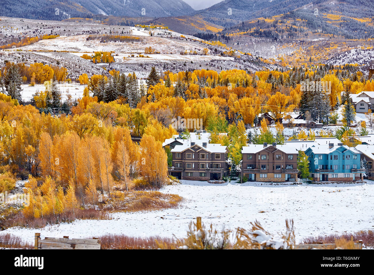Season changing, first snow and autumn trees Stock Photo - Alamy