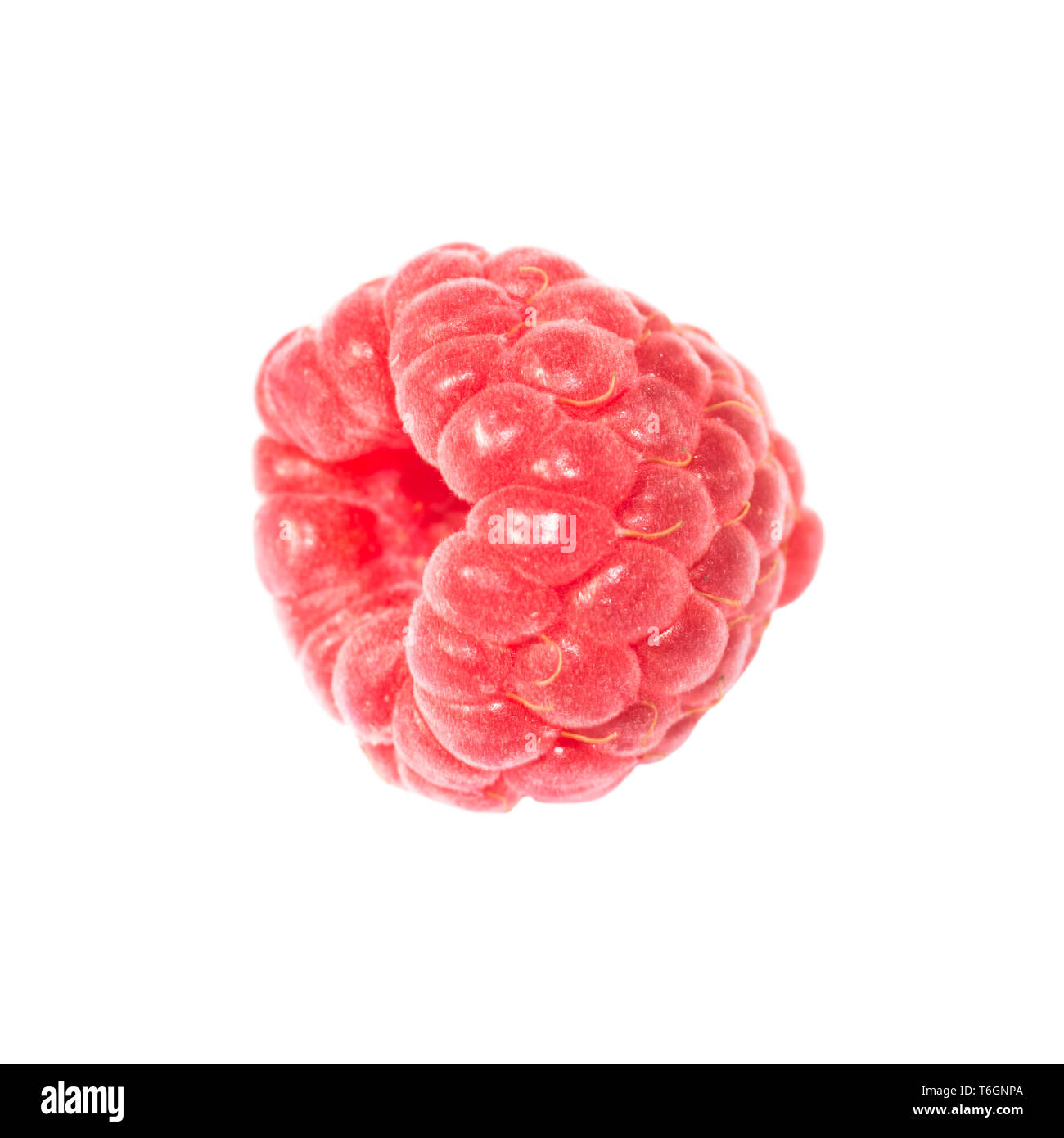 One raspberry isolated on white Stock Photo - Alamy