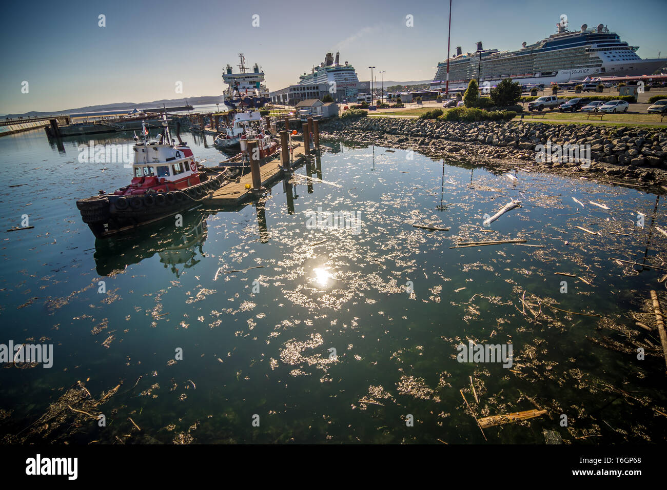 Cruise ship terminal in victoria bc hi-res stock photography and images ...