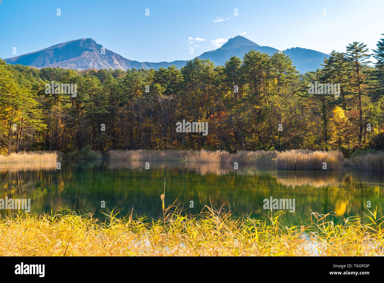 Goshiki Numa High Resolution Stock Photography and Images - Alamy