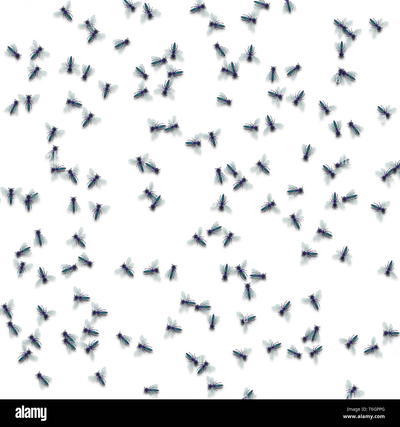 a white background with lots of flies on it Stock Photo - Alamy