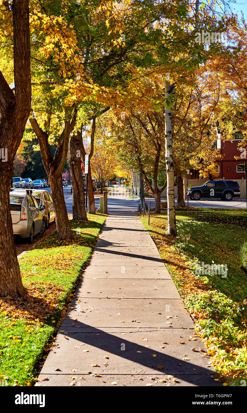 Street in Aspen town at autumn Stock Photo - Alamy