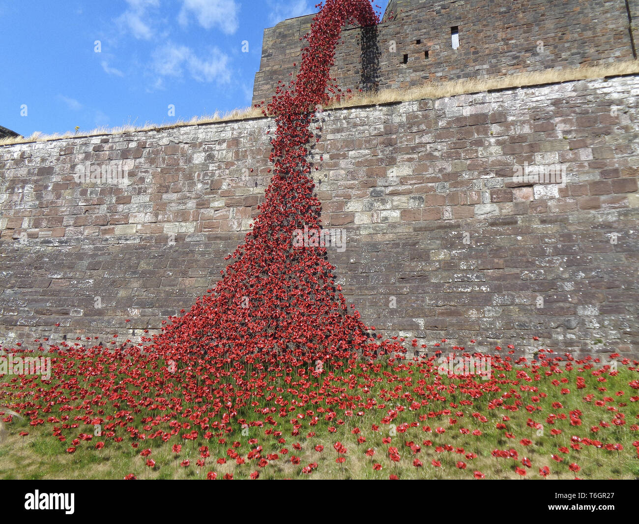 red flower street on an old wall Stock Photo - Alamy