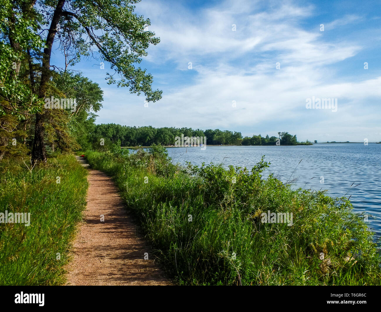 path between forest and lake Stock Photo - Alamy