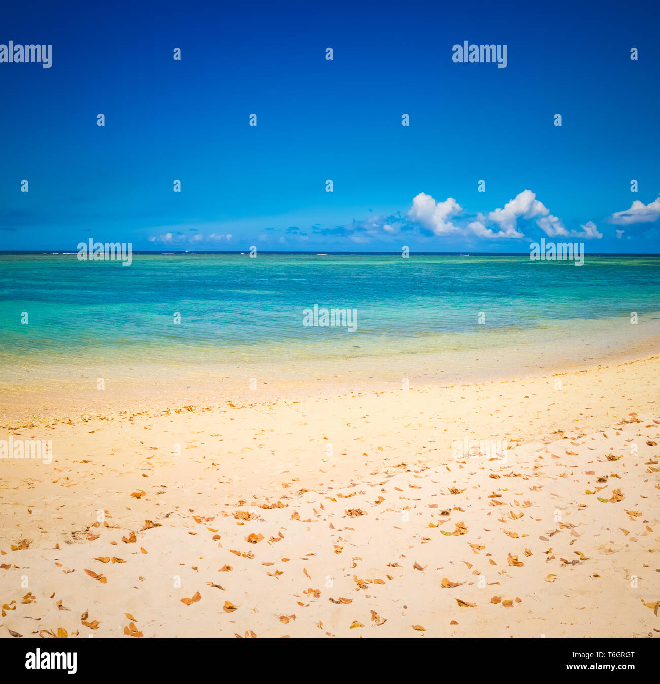 Beautiful landscape sandy beach hi-res stock photography and images - Alamy