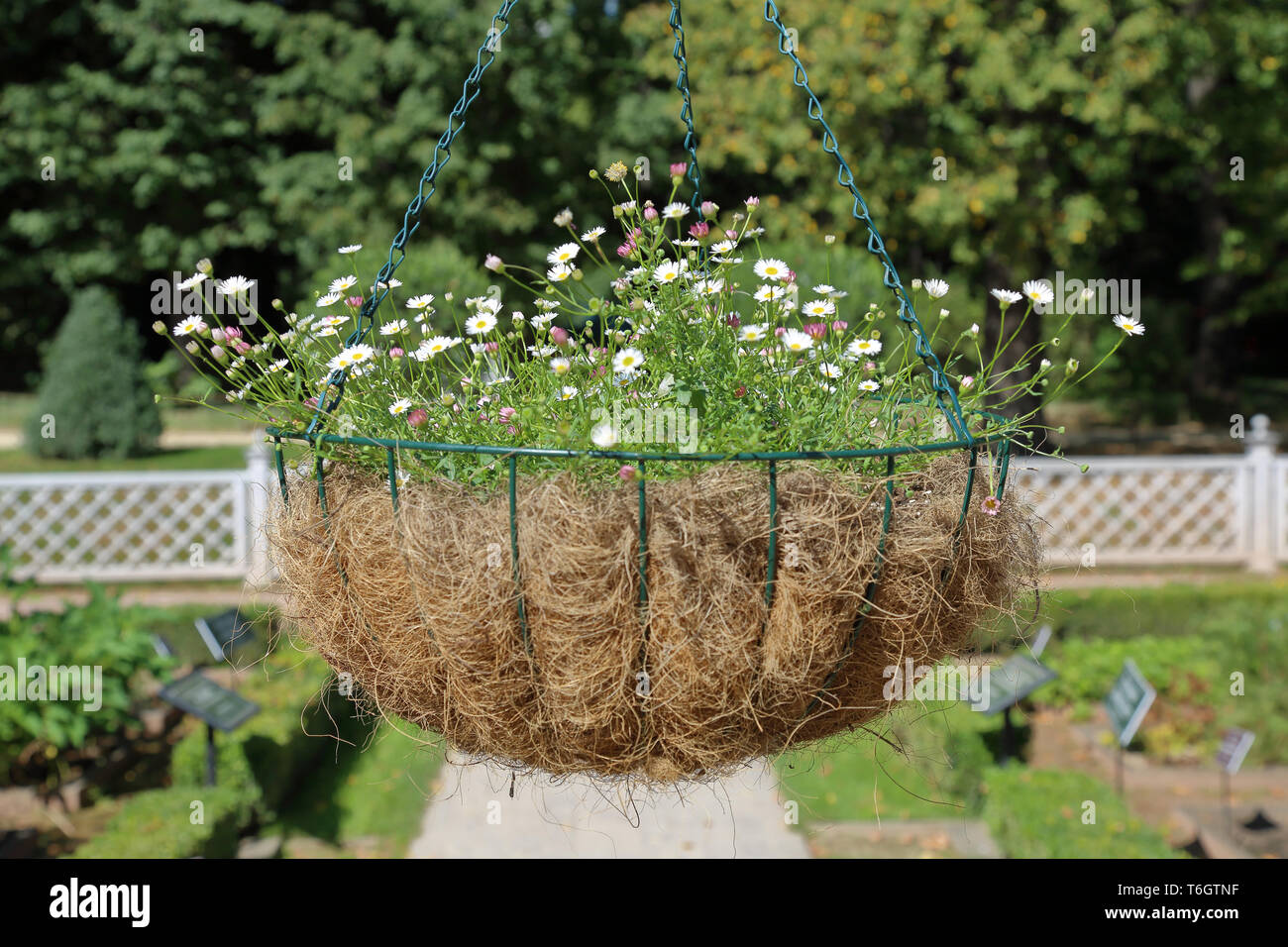 Hanging in chains hi-res stock photography and images - Alamy