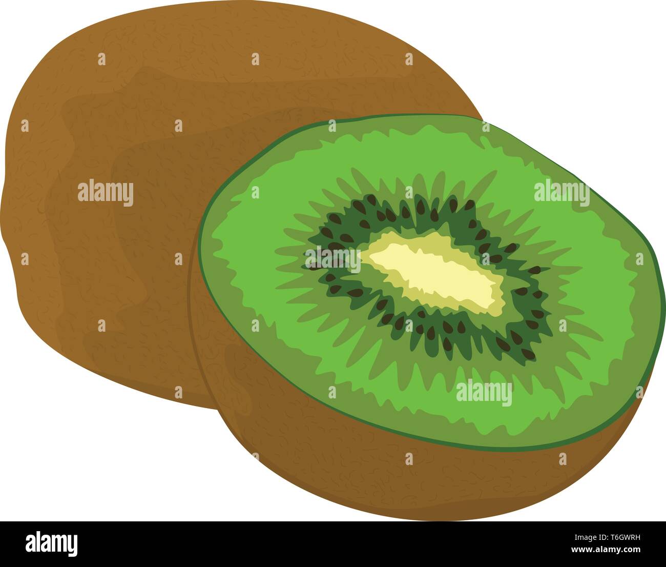 Kiwi vector illustration on a white background Stock Vector Image & Art ...