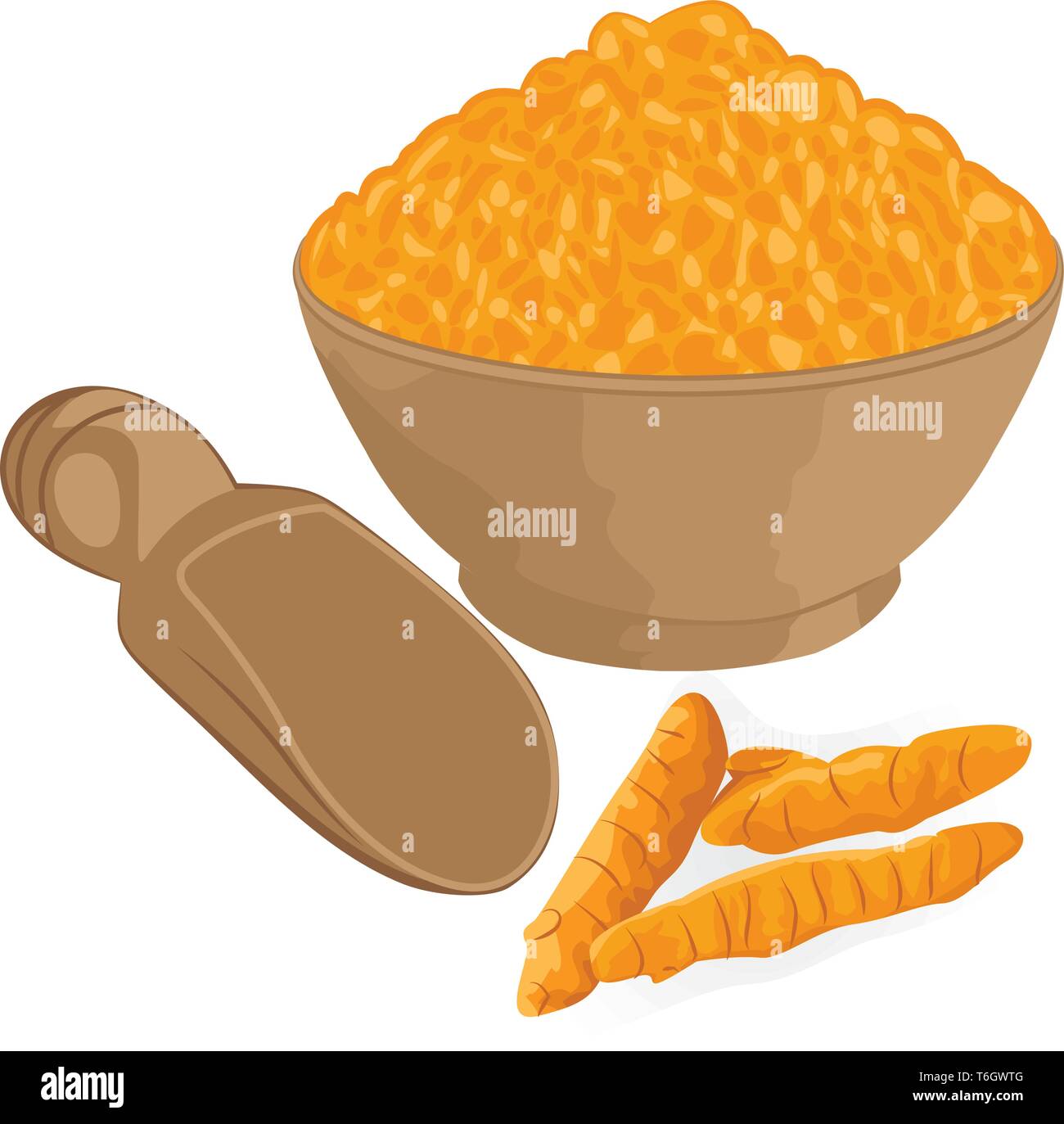 Turmeric powder in a bowl and roots Vector illustration on a white ...