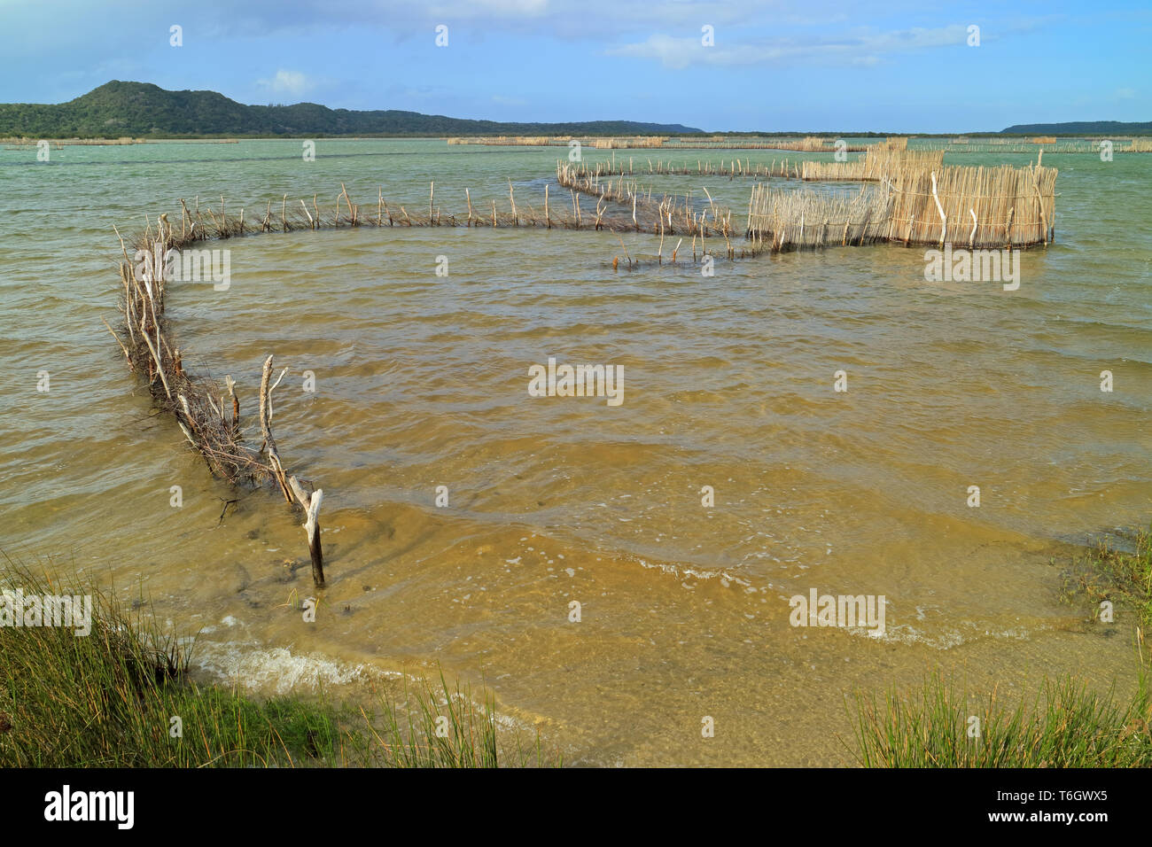 Fish trap south africa hi-res stock photography and images - Alamy