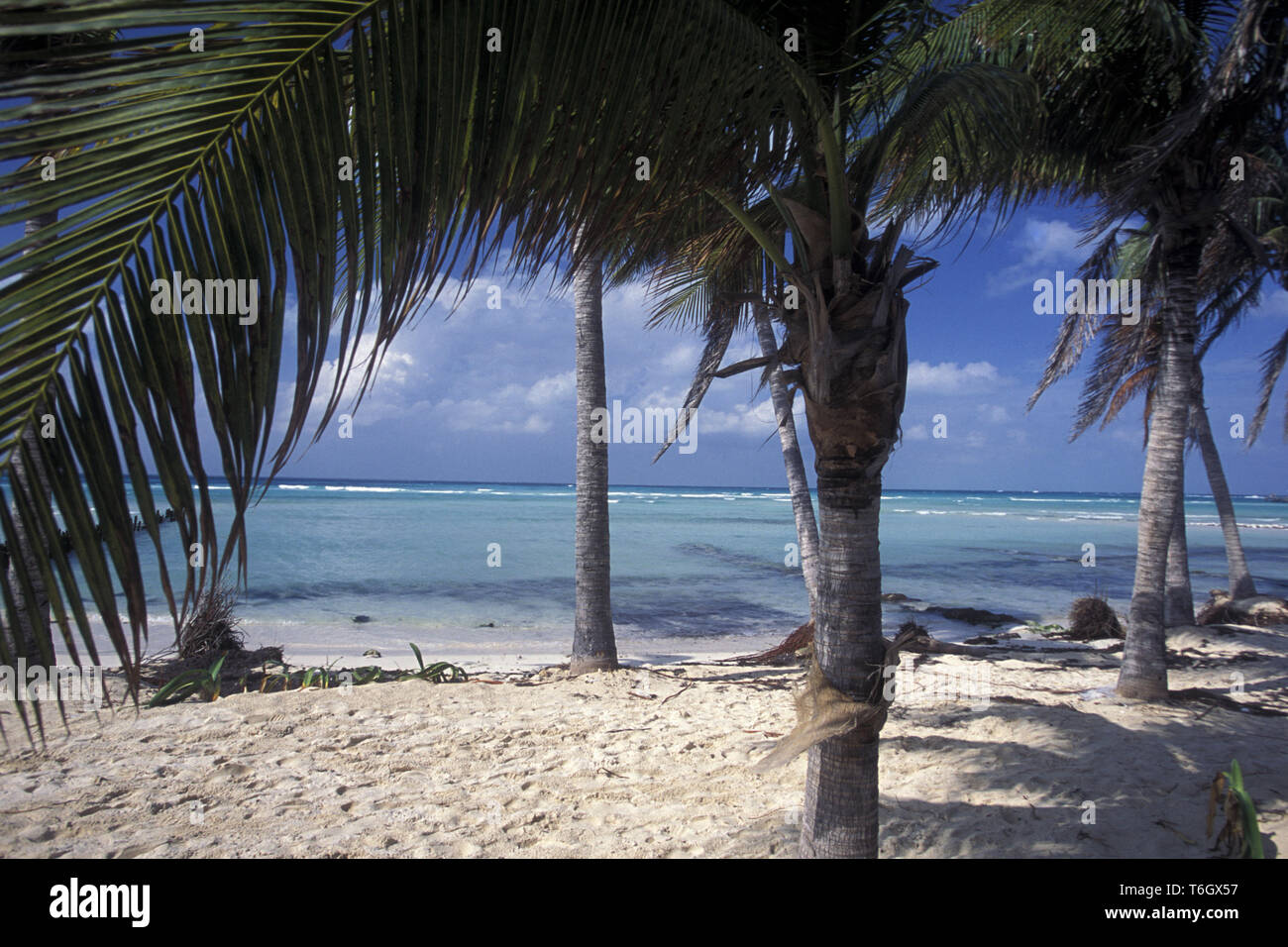 Yucatan mexico beach cancun hi-res stock photography and images - Alamy