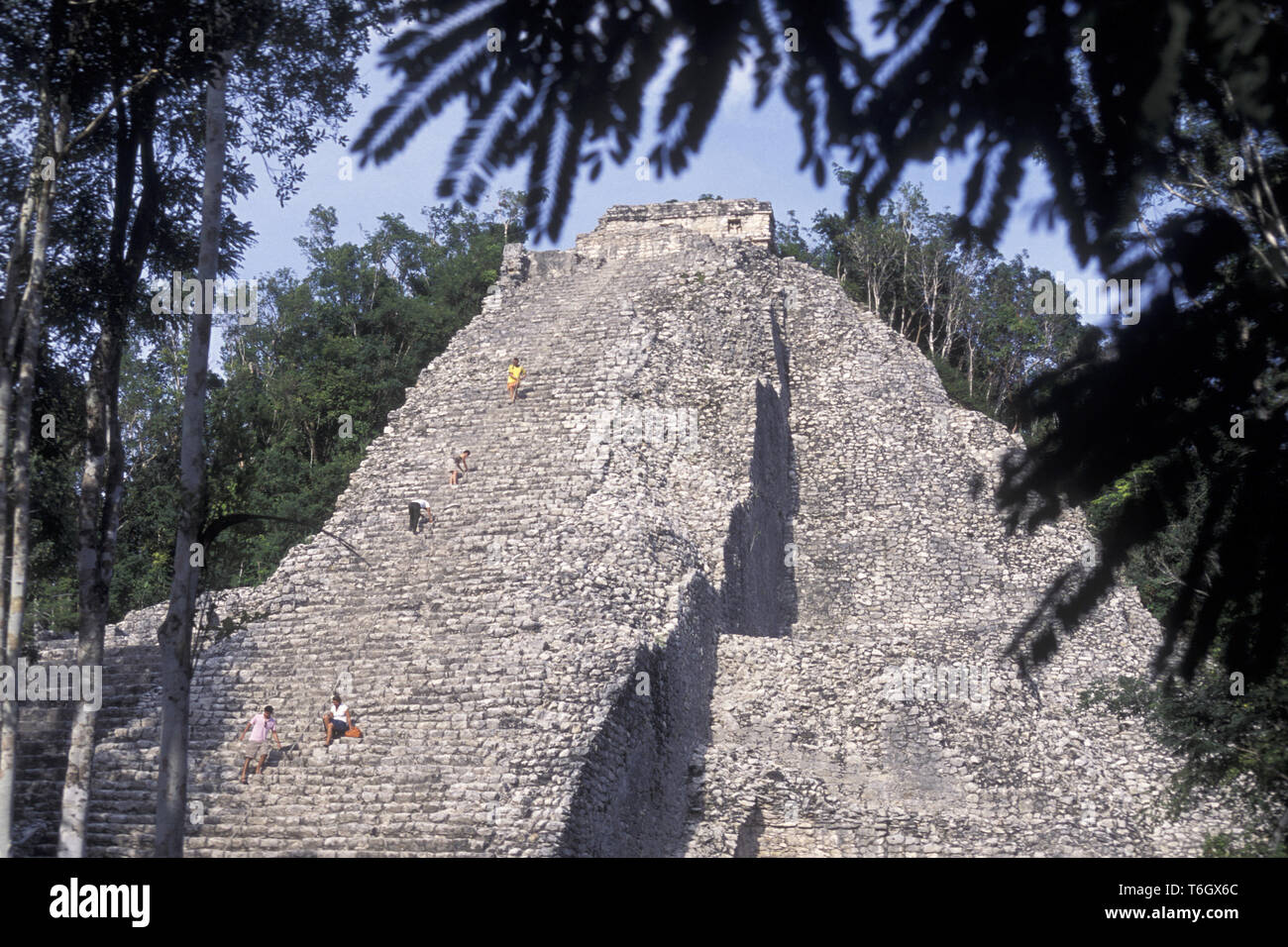 MEXICO YUCATAN COBA MAYA RUINS Stock Photo - Alamy