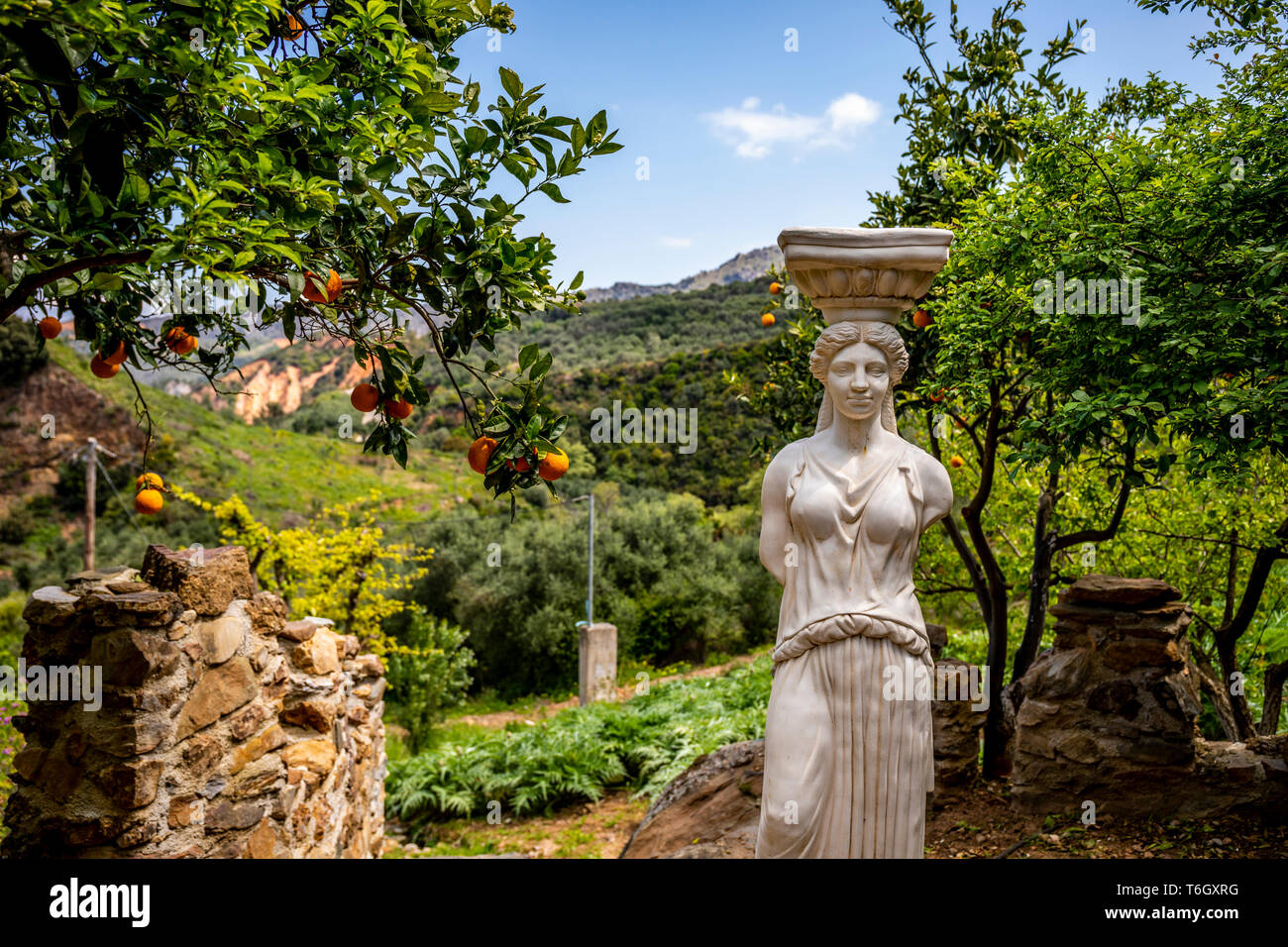 Orange tree growing alongside a statue in the Botanical Park, Crete ...