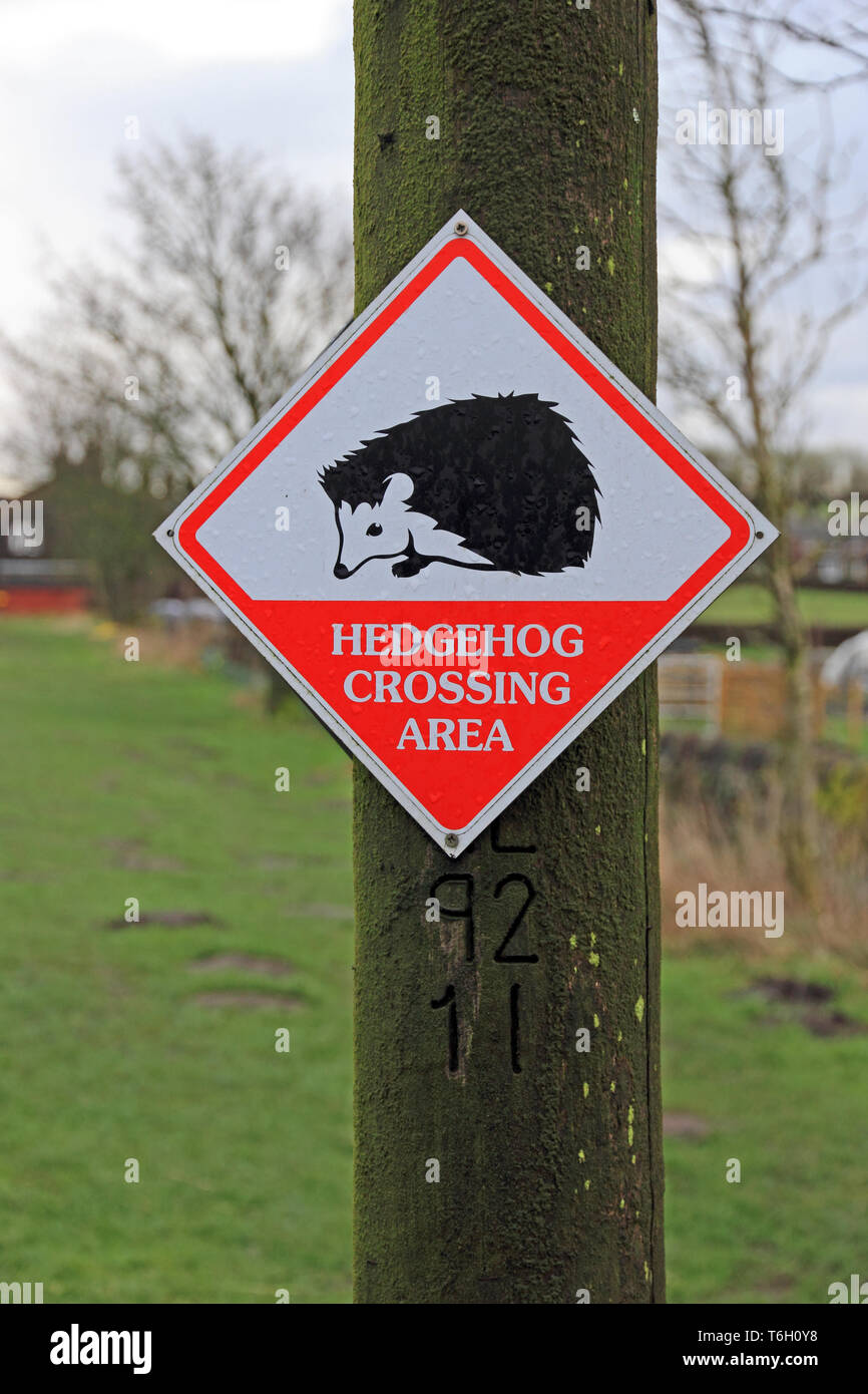 Hedgehog crossing sign Stock Photo - Alamy