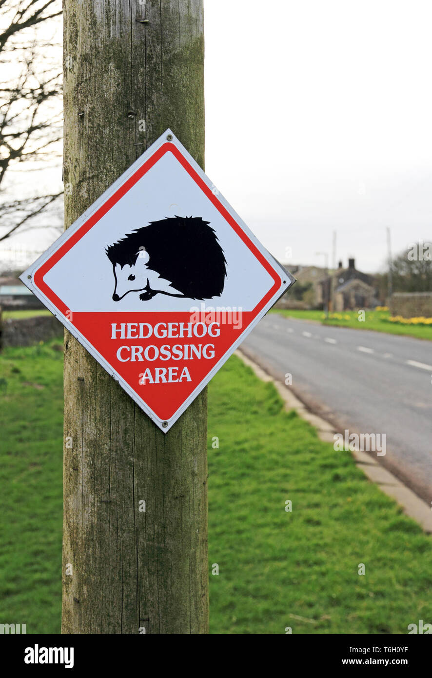 Hedgehog crossing sign hi-res stock photography and images - Alamy