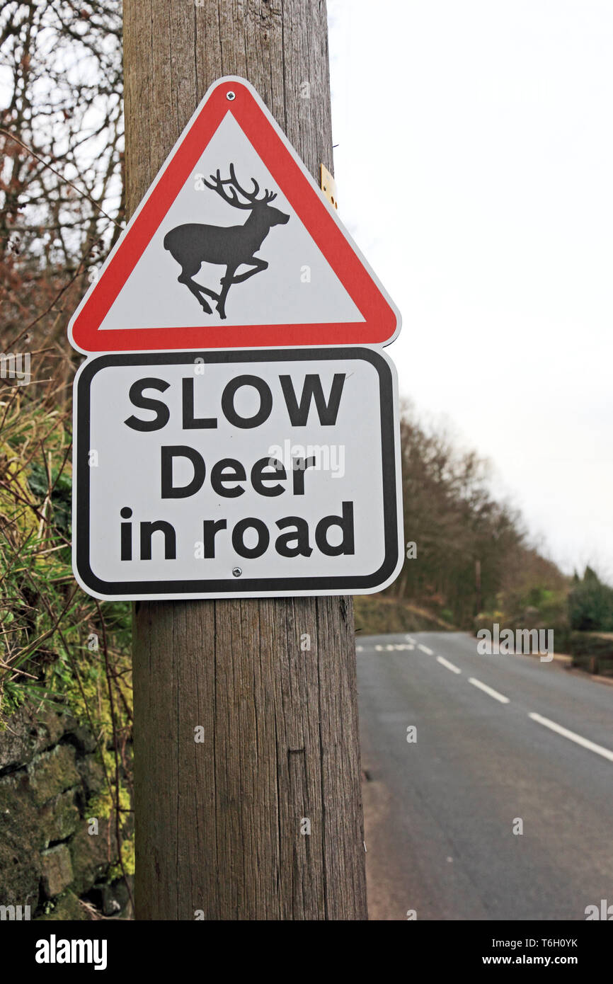 Deer road sign uk hi-res stock photography and images - Alamy