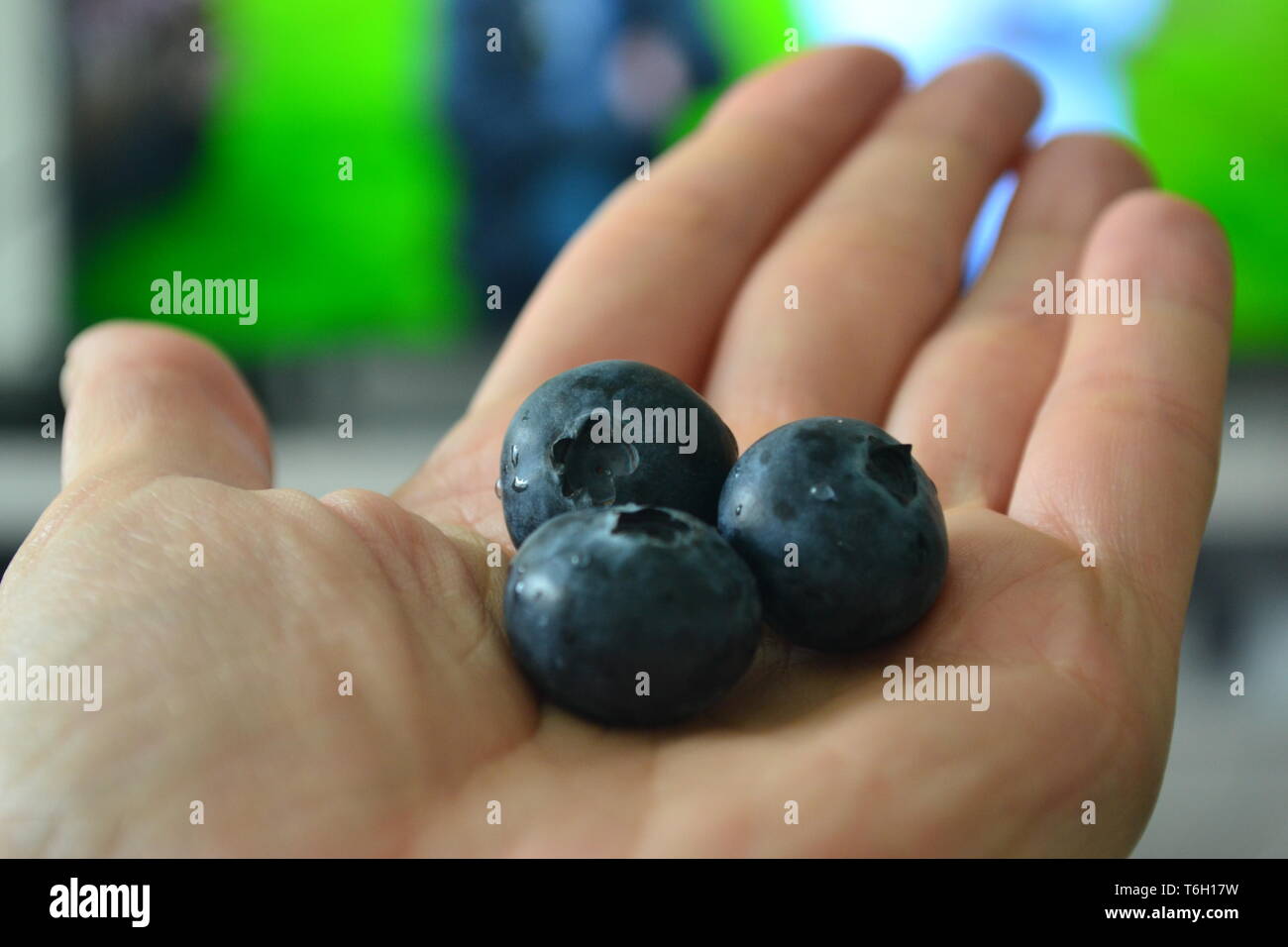 Hand holds blueberry berries Stock Photo - Alamy
